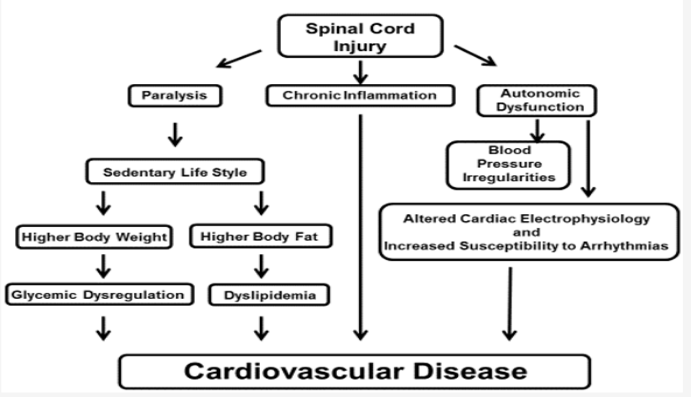 Journal of Cardiology and Cardiovascular Therapy | Juniper