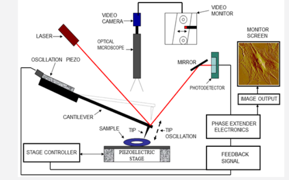 Journal of Pharmacology and Clinical Research (JPCR)